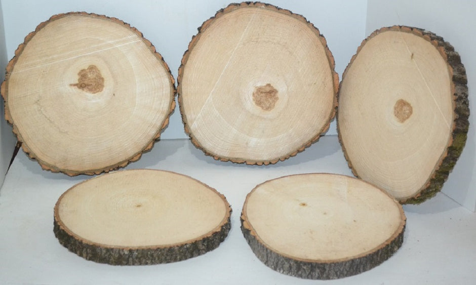 Premium Kiln Dried Wood Slices, Wholesale, Stumps, & Slabs | Spirit of ...