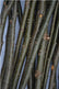 Alder Sticks/Twigs Furniture Crafts 1/4" to 1/2" x 36" – Spirit of the ...